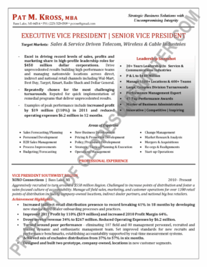 SVP Executive Resume Samples | CEO Resume Writer